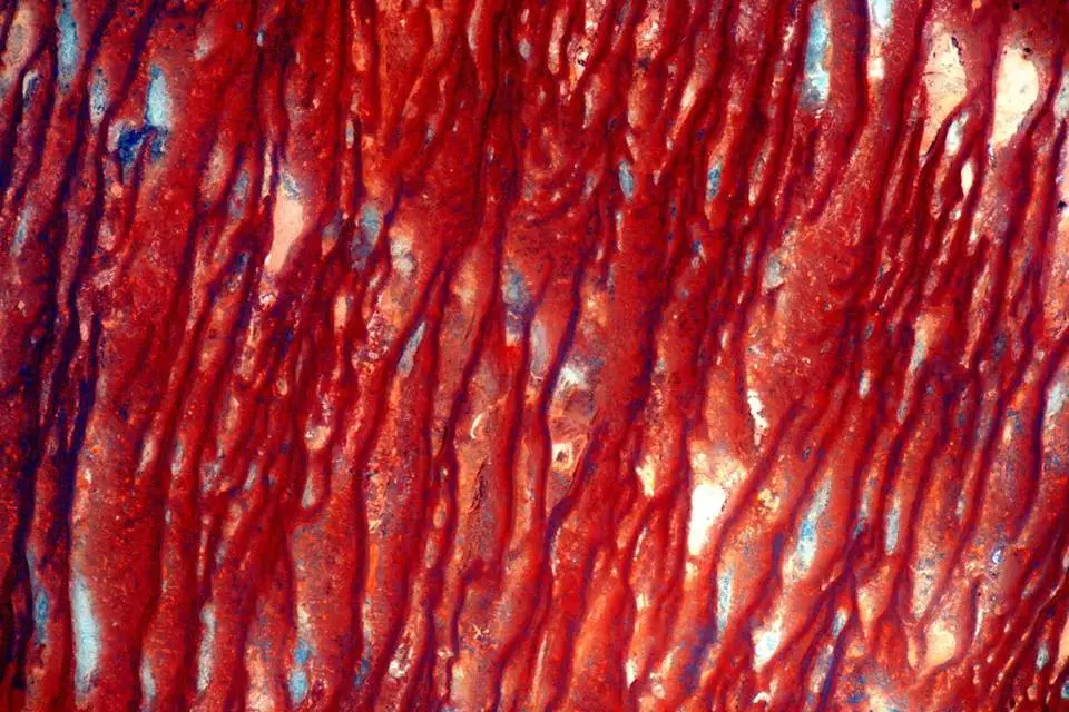 Osupljive fotografije astronavta, ki so spremenile naš pogled na Zemljo 3 | Nova24TV