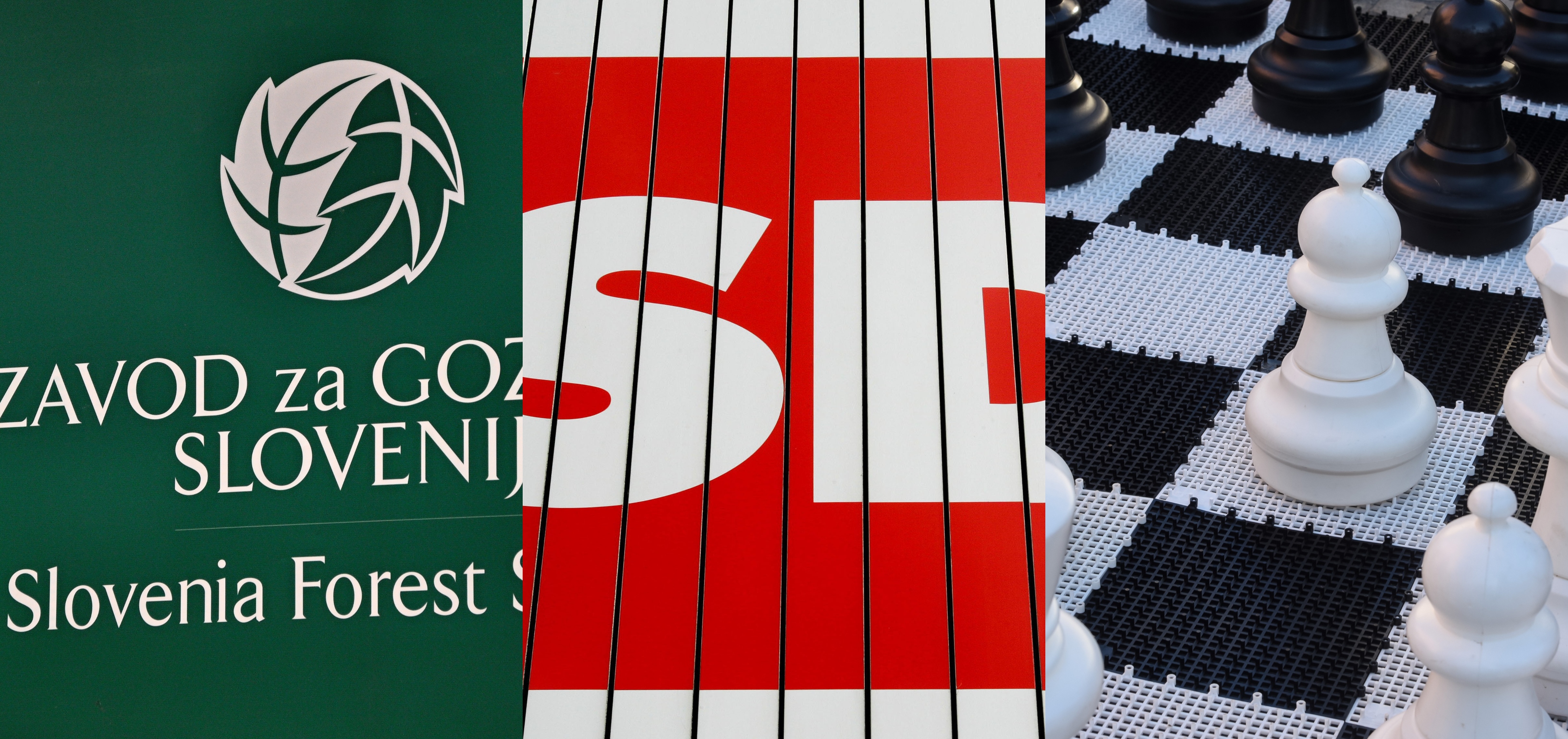 Zavod za gozdove | Nova24TV