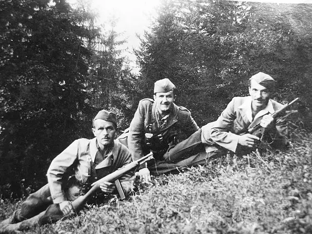 Znanstvena konferenca Leto 1944 na Slovenskem 80 let pozneje | Nova24TV