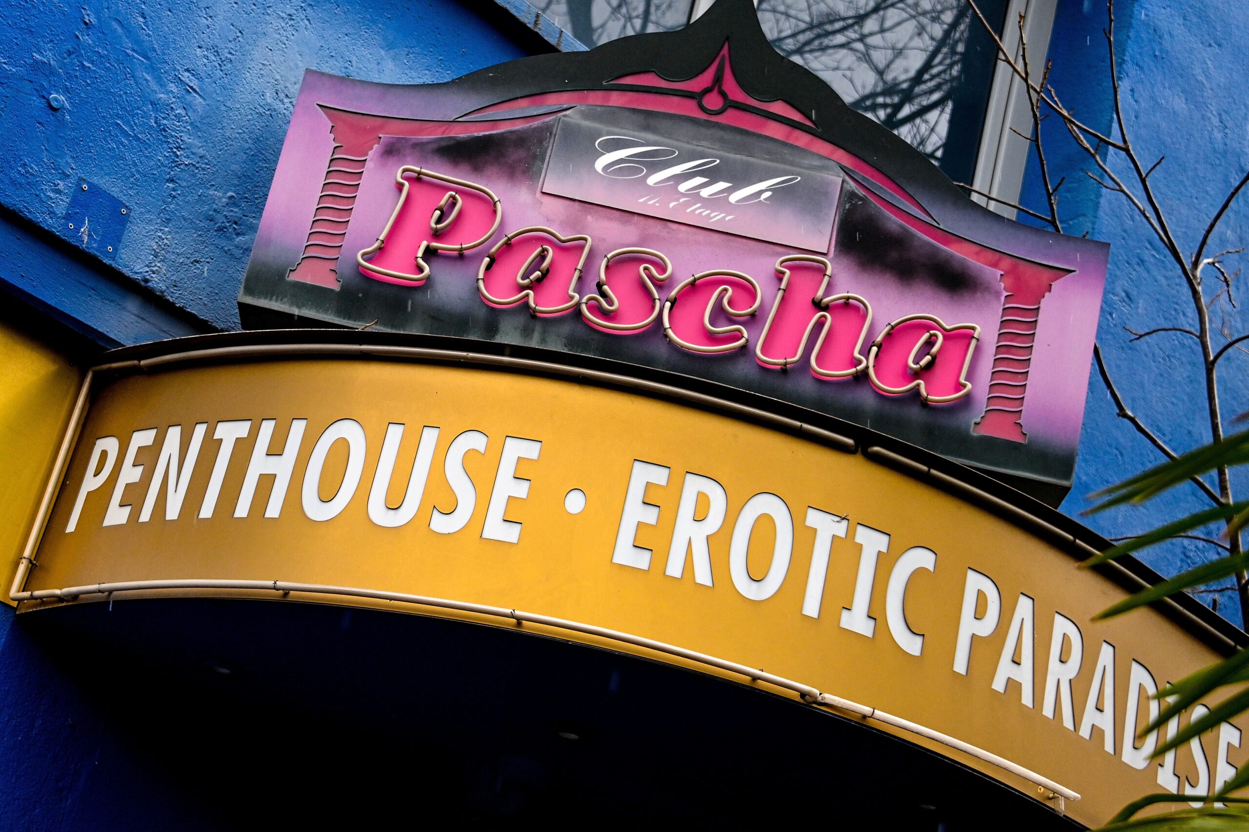 Katastrofa seksualne revolucije | Nova24TV