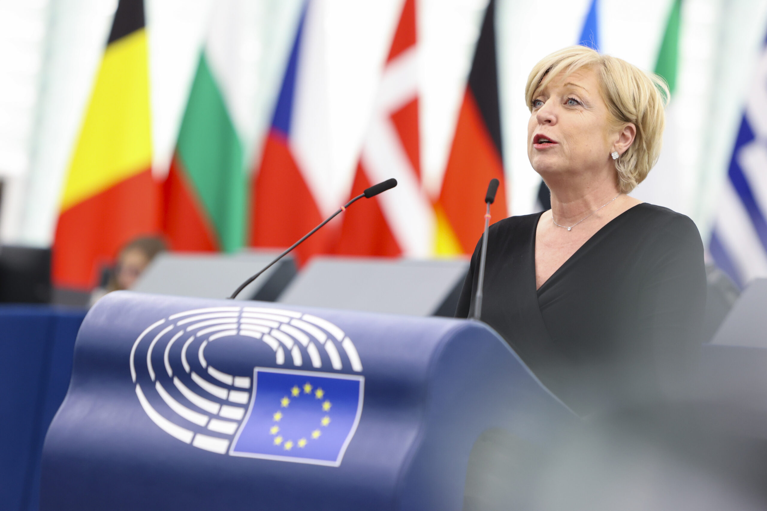 EPP soglasna: Zelena politika, ki so jo začeli Zeleni, Socialni ...