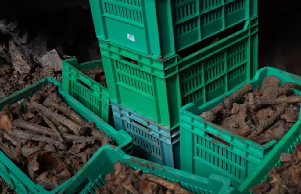 [Video] Klic po svobodi in dostojanstvu umrlih: “Svojci se še vedno ...