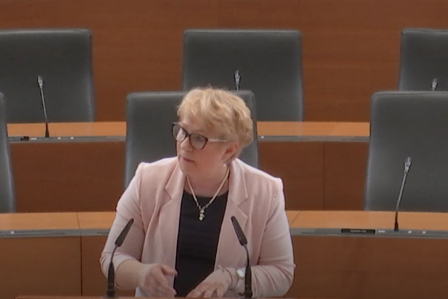 Morilski zakon znova pred poslanci | Nova24TV