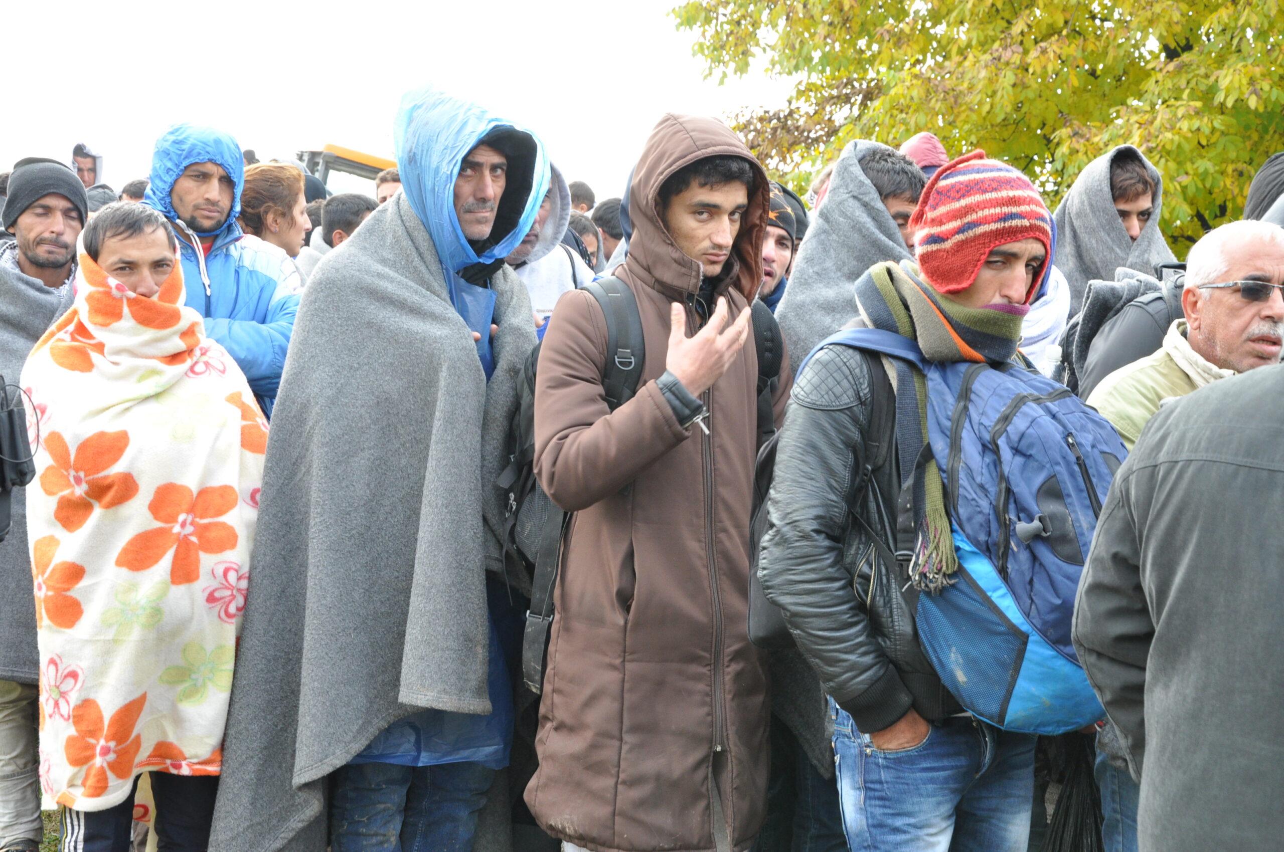 Ob koncu tedna sprejeli in oskrbeli več kot 350 nezakonitih migrantov ...